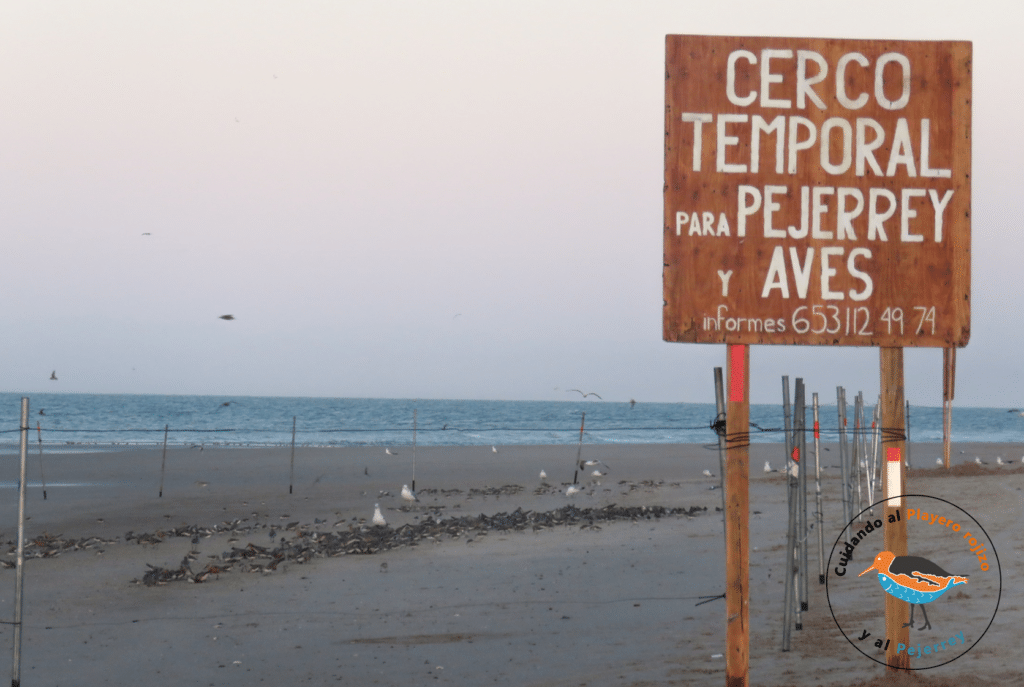 Migratory Shorebird Project – Connecting Communities across the ...